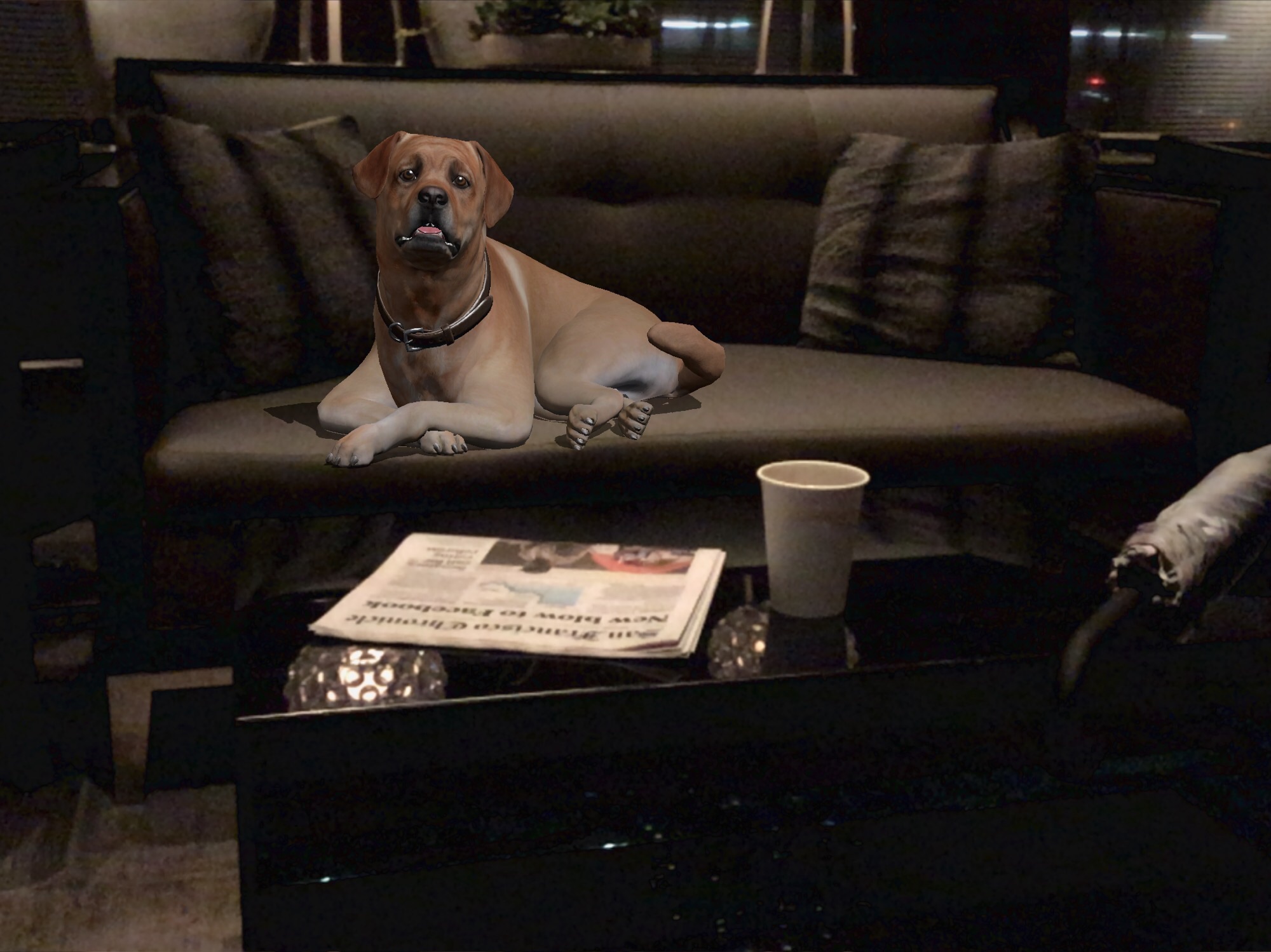 Introducing Dex: Your AR Dog Companion Augmented Reality App | ARPost