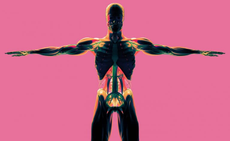 How Augmented Reality Is Used In Teaching Anatomy | ARPost